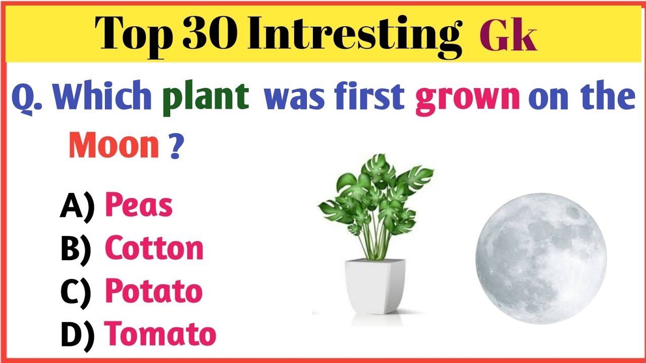 General knowledge questions and answers//gk questions//gk in English ...