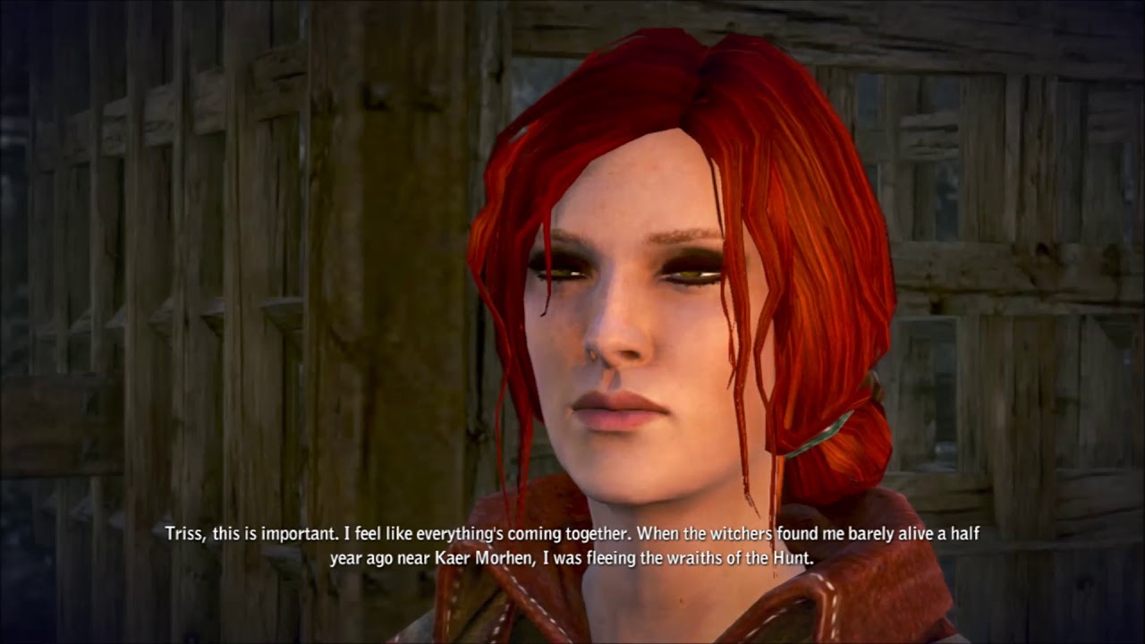 The Witcher 2 Episode 16 : Elf Garden - YouTube