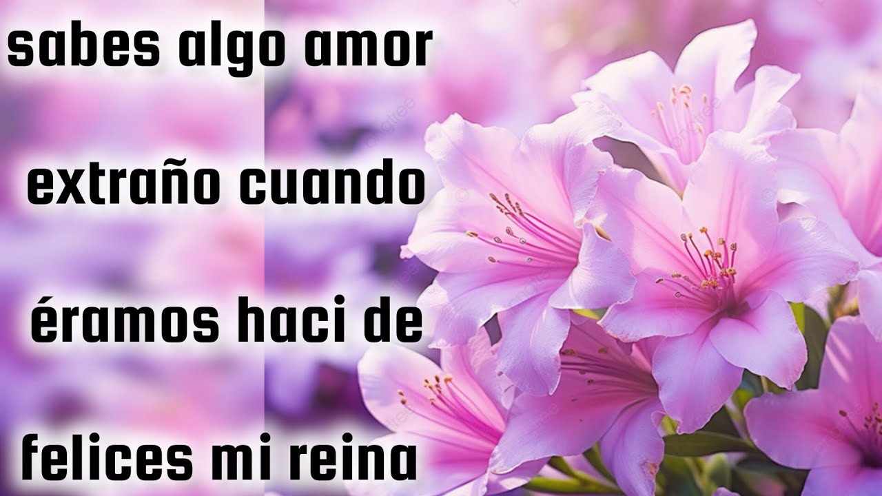 sabes algo amor extraño cuando éramos haci de felices mi reina - YouTube