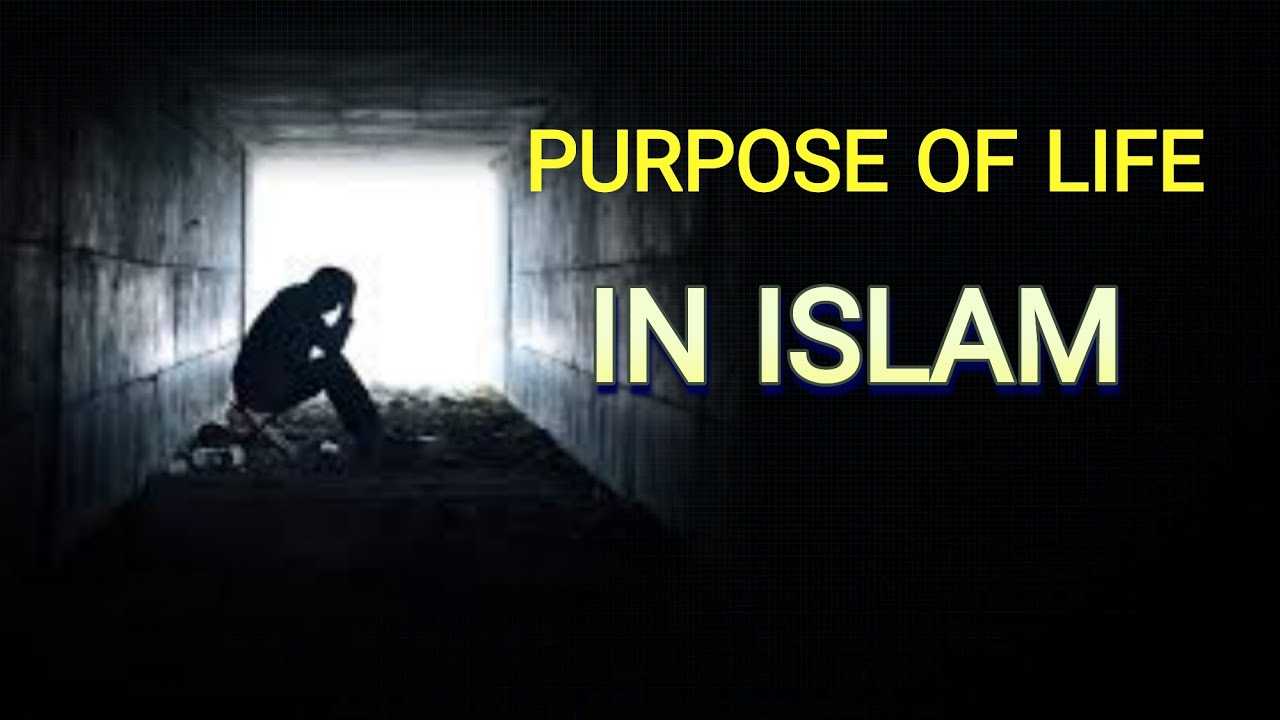 Purpose of life☝🏻 | purpose of life in Islam | supportive Islam - YouTube