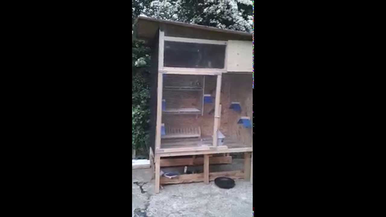 My small racing pigeon loft - YouTube