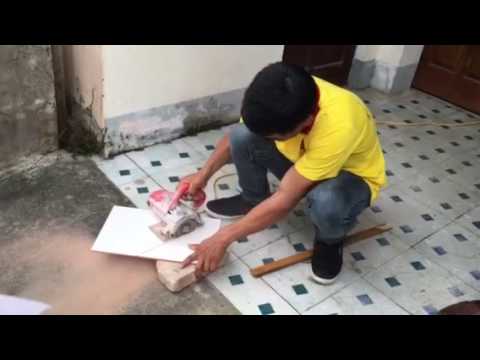 Tran van dung - YouTube