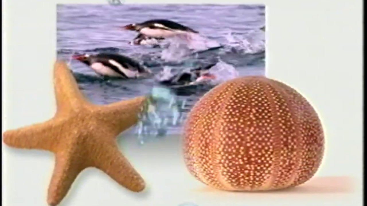 Eyewitness Ocean (1997) VHS - YouTube