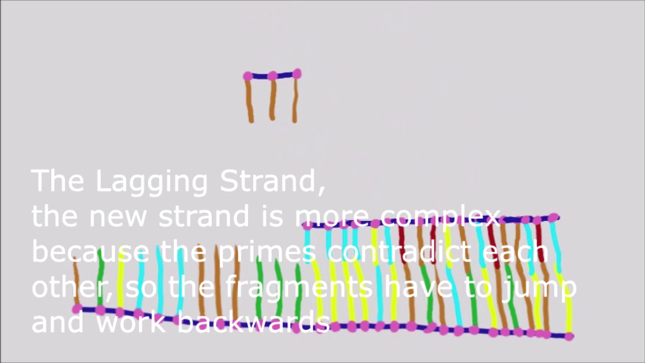 true animation - YouTube