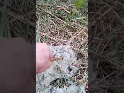 Un río color verde... #fishing #pescar #viajesdepesca #tiempodepesca # ...