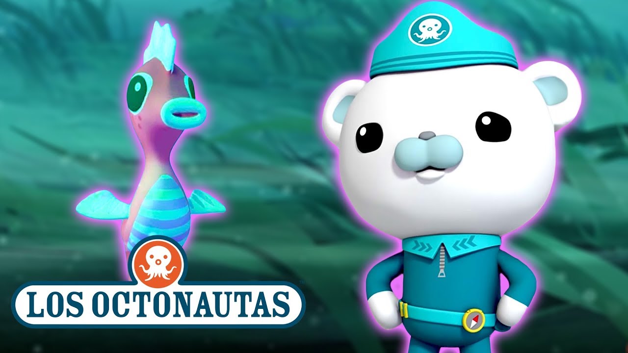 Los Octonautas Oficial En Español - Salvando los Caballitos de Mar ...
