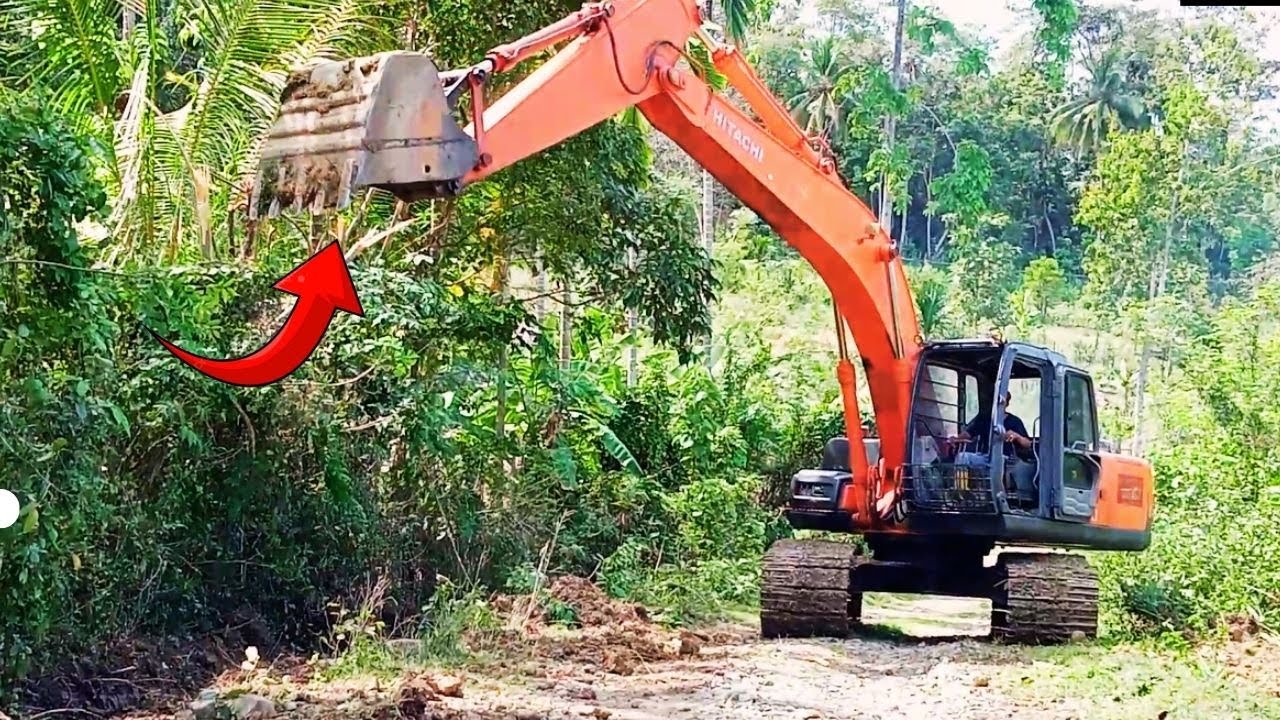 This Is What Happens When an Excavator 'Fights' with a Tree on the ...