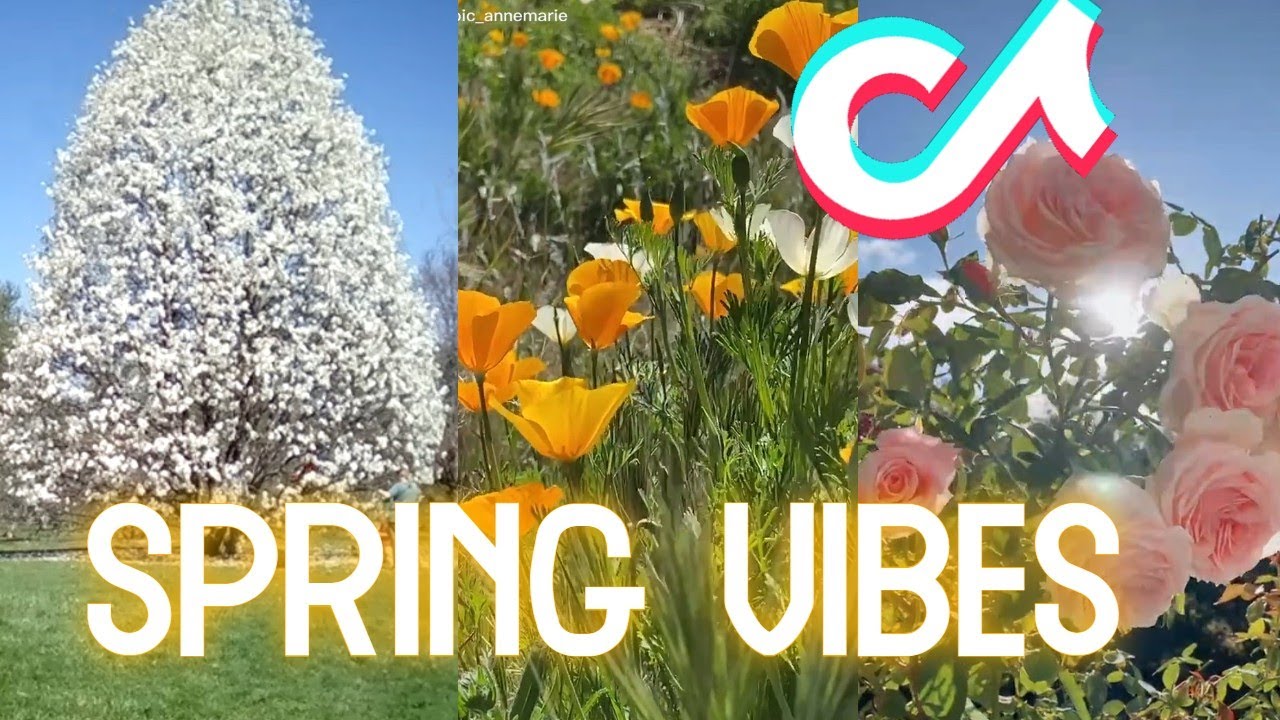 Tik Tok Spring Vibes / Vibraciones de primavera - YouTube