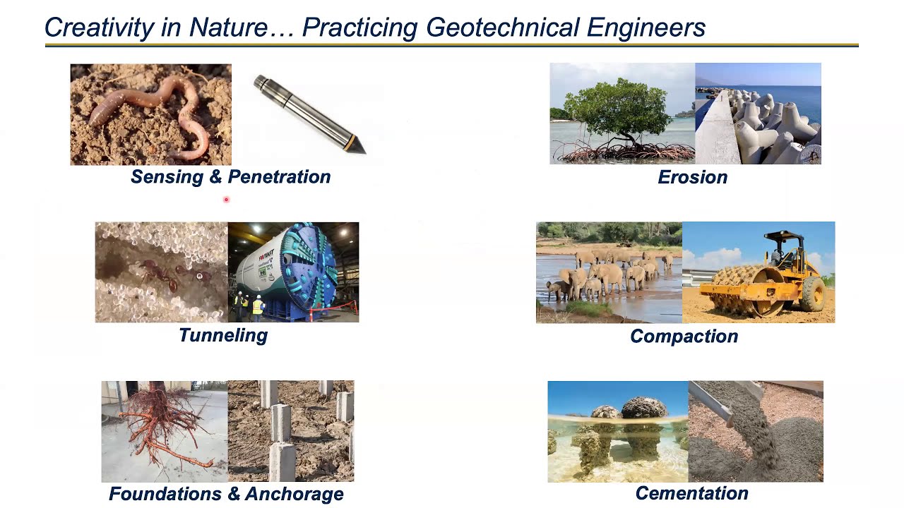 COGGE Webinar Series - 2/20/20: Biogeotechnics for Geotechnical ...