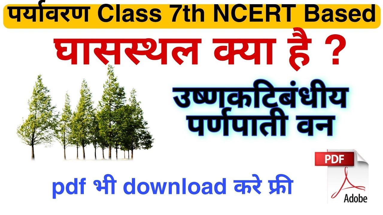 prakritik vanaspati kya hai | types of forest | vany jeev - YouTube