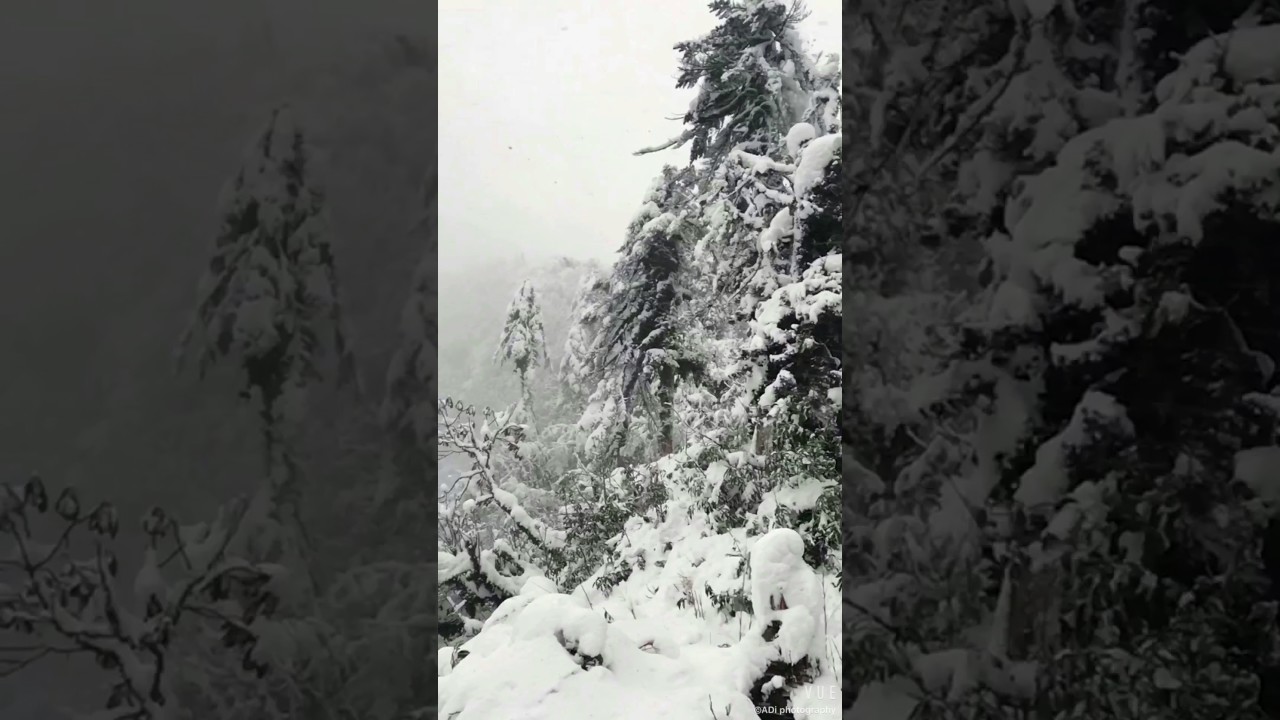 Myanmar Putao snow mountain - YouTube