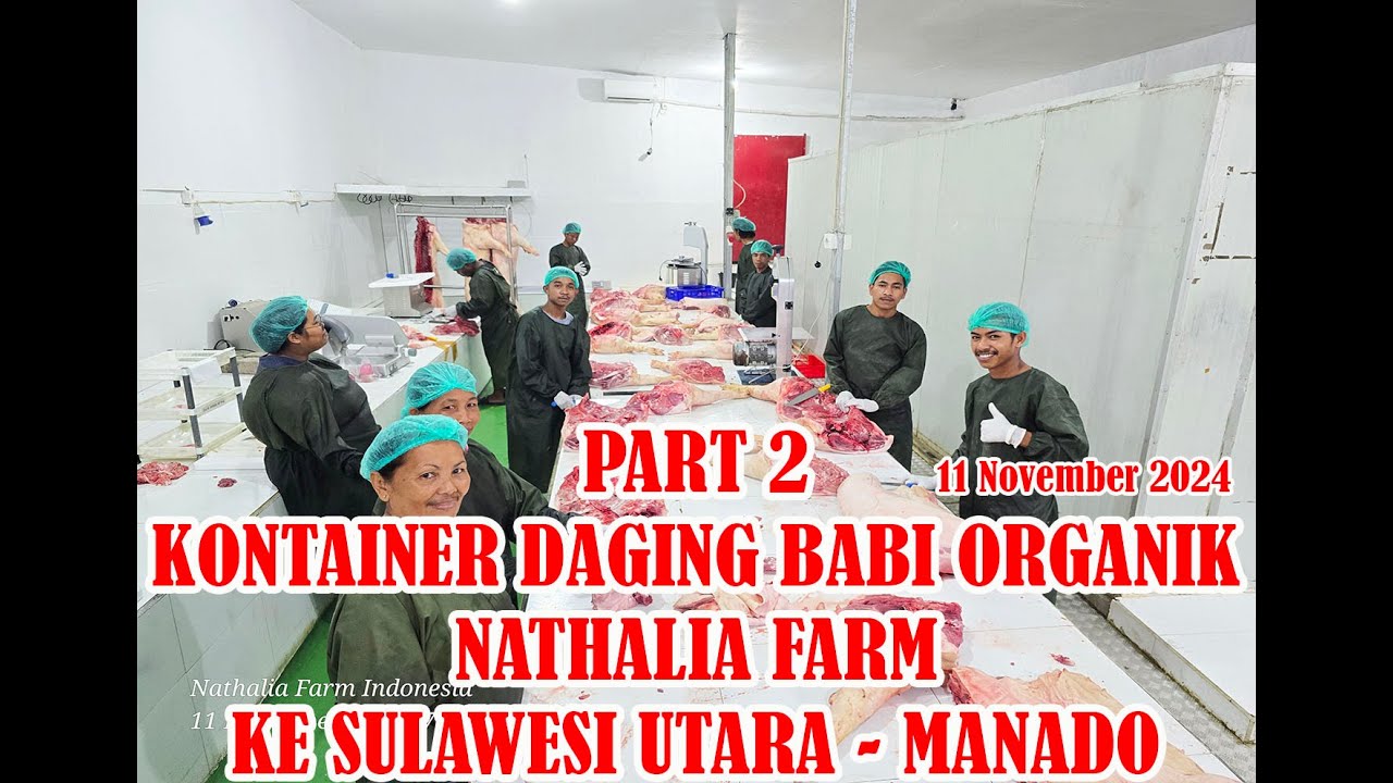 PART 2 DAGING BABI ORGANIK NATHALIA FARM KE MANADO - YouTube