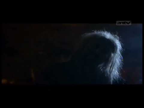 Promo ANTV Selanjutnya Sinema Spesial Suzzana : Bernapas Dalam Kubur