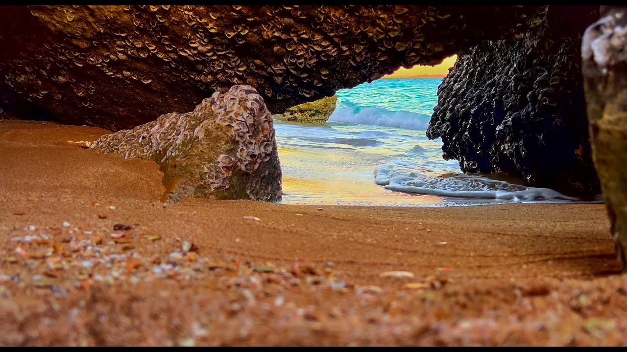 Tropical Tranquility | ASMR Beach Breezes - YouTube