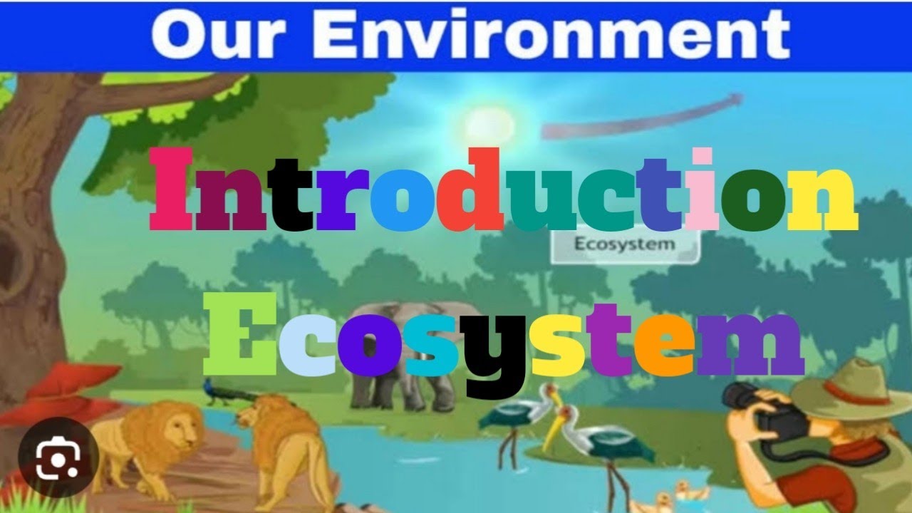 ECOSYSTEM... Introduction - YouTube
