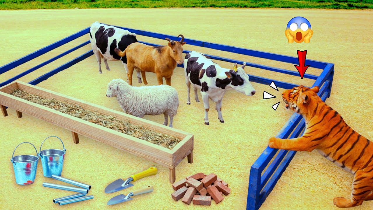 Building a Strong & Beautiful Animal Shelter – Safe and Stylish Design ...