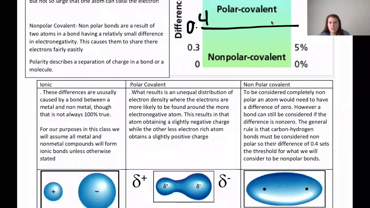 Polarity Intro notes - YouTube