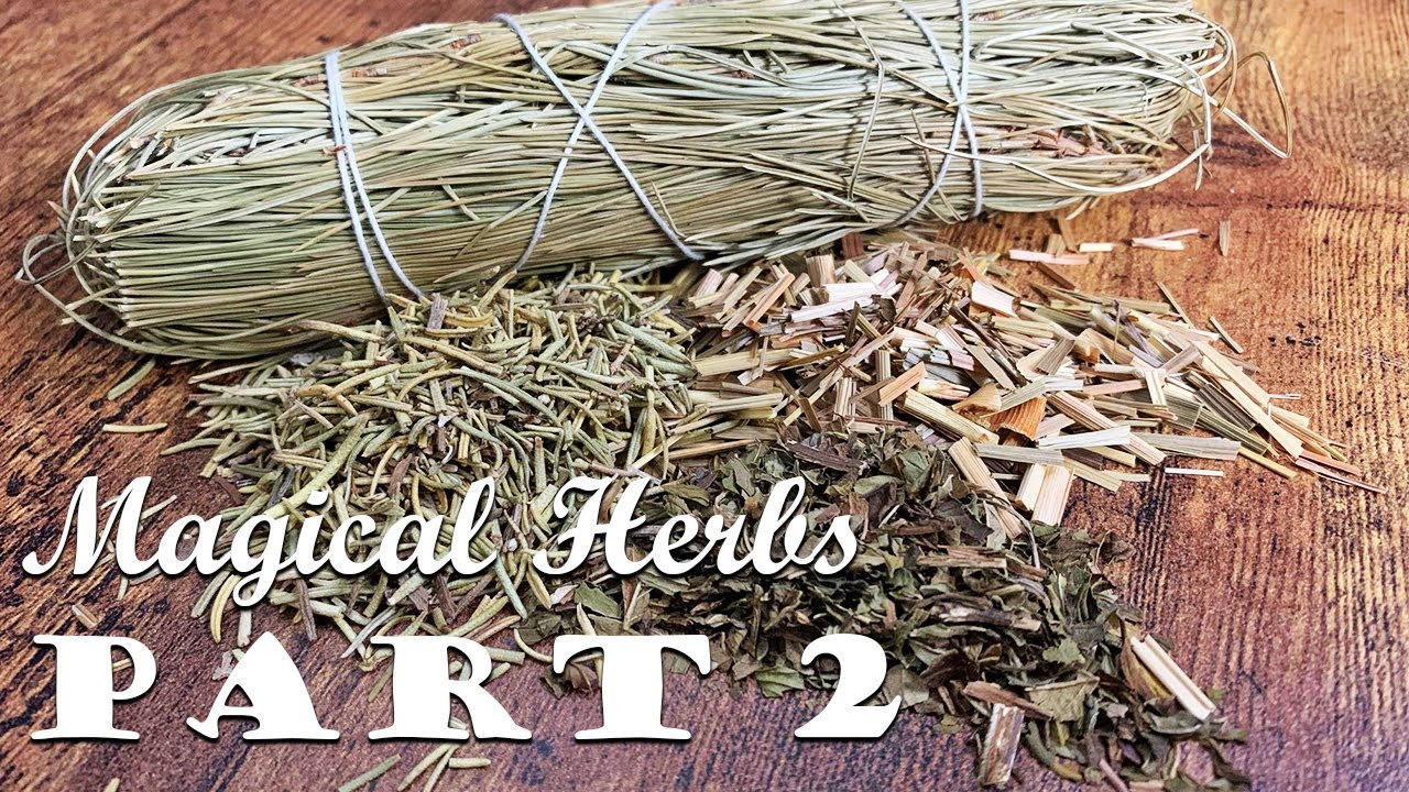 Magical Herbs For Beginners PART 2 - Advice From A Hedge Witch - YouTube