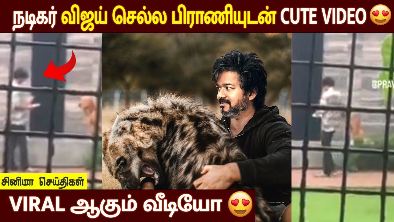 😍செல்லப் பிராணியுடன் கொஞ்சி விளையாடும் VIJAY😍 வைரலாகும் வீடியோ😍 | Vijay ...