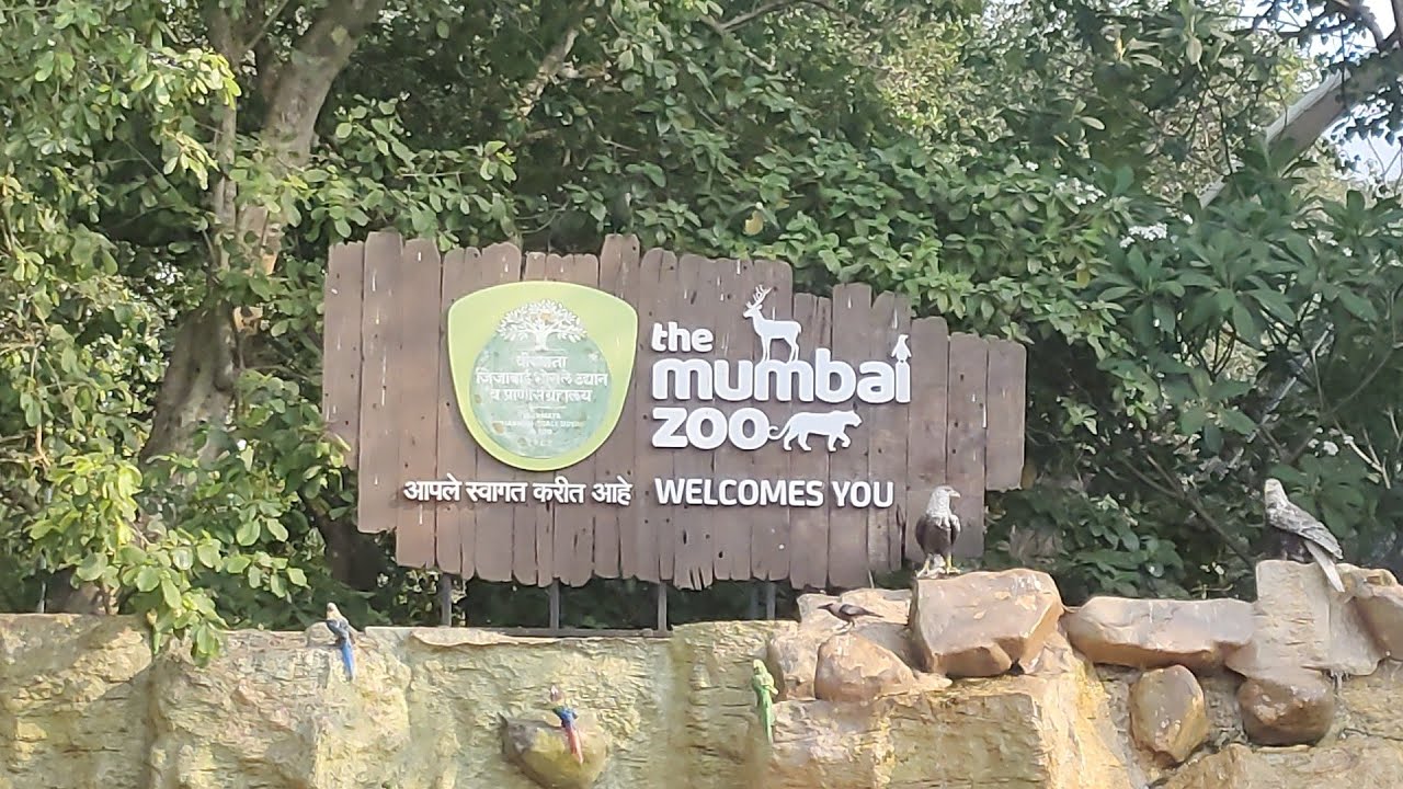 Mumbai zoo byculla - Mumbai zoo rani bagh | Full tour + ticket price ...