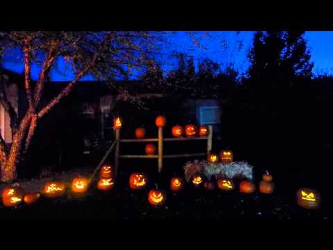 2015 Halloween Singing Pumpkin Patch