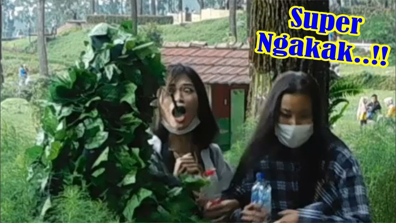 Bushman Prank ini Lucu banget..!! Prank kocak dan konyol banget - YouTube