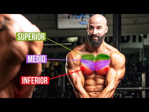 Mi rutina con los mejores ejercicios de pecho