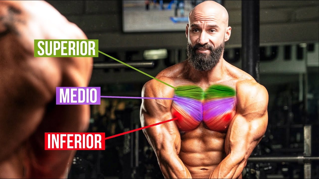 Mi rutina con los mejores ejercicios de pecho - YouTube