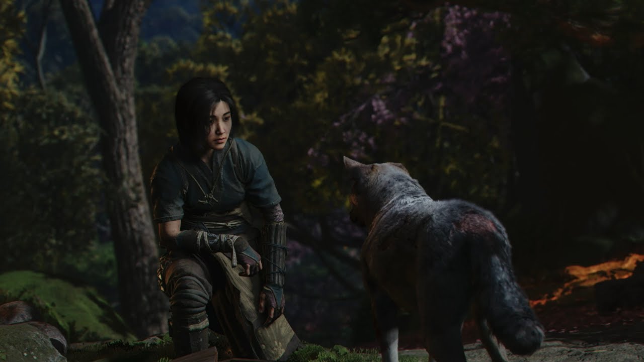 Assassin's Creed Shadows - Finding A New Guard Dog In Tsuki-maru (Xbox ...
