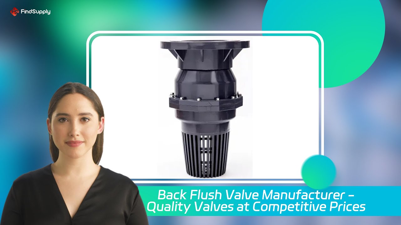 Back Flush Valve Manufacturer - Quality Valves at Competitive Prices ...