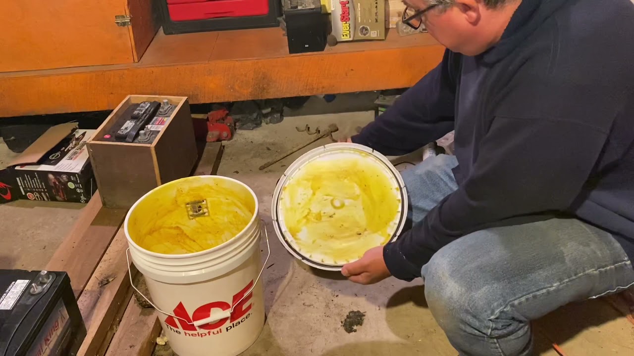 Bucket swarm trap - YouTube