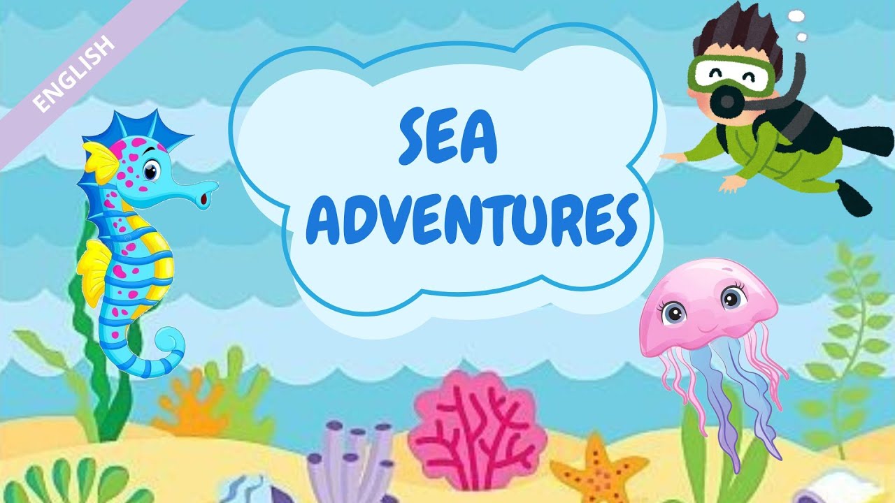 SEA ADVENTURES 🪸 I CHARACTERISTICS AND FUN FACTS. 🐠🐬 - YouTube