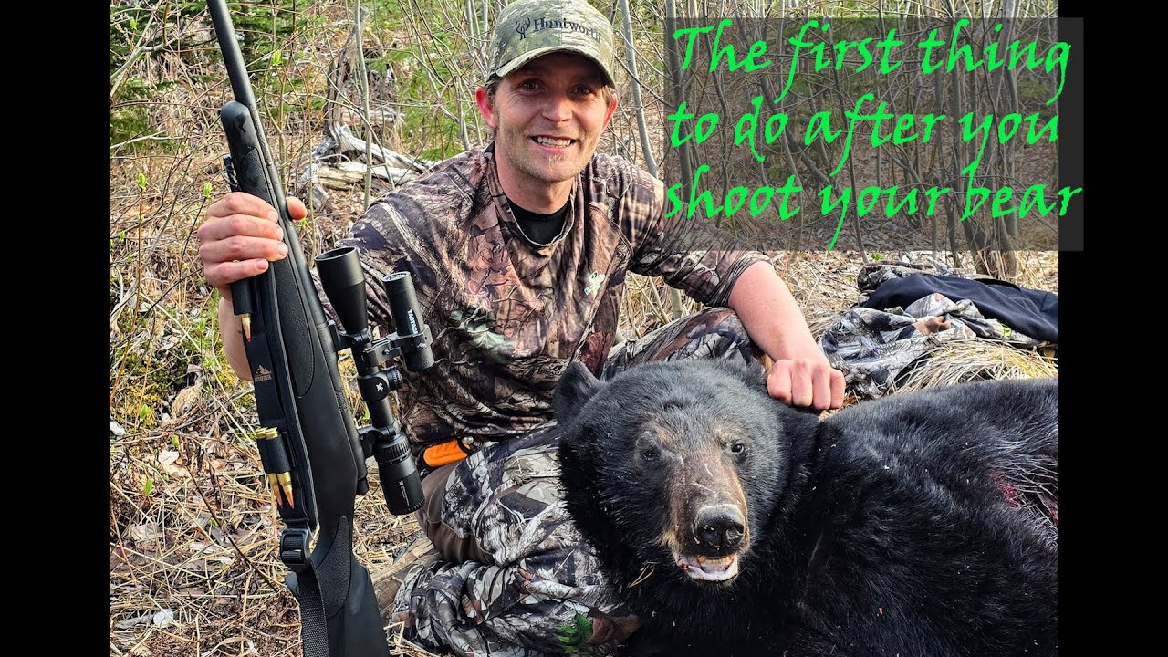 How to field dress or "gut" a bear - YouTube