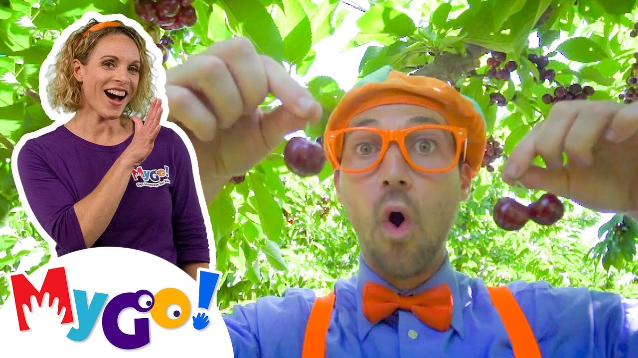Blippi Visits a Cherry Farm | Blippi | MyGo! Sign Language for Kids ...