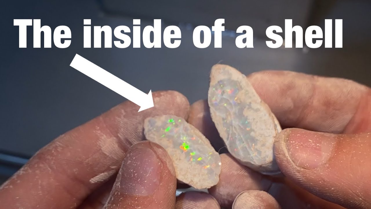 I sliced and polished a shell part:2 - YouTube