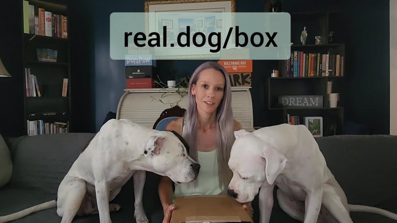 real.dog/box - Our Dog Box Series - YouTube