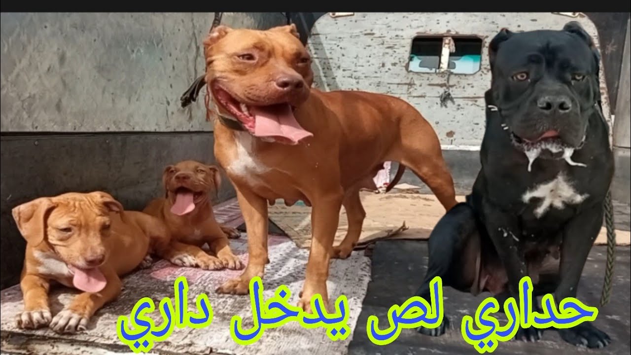 6 août 2023 - YouTube