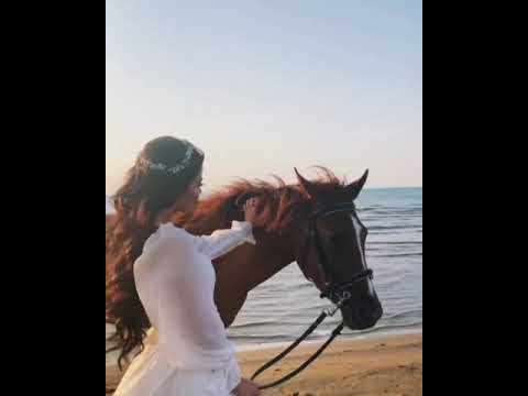 Whatsap Ucun duygusal Videolar WhatsApp ucun sevgi Statusları 2020