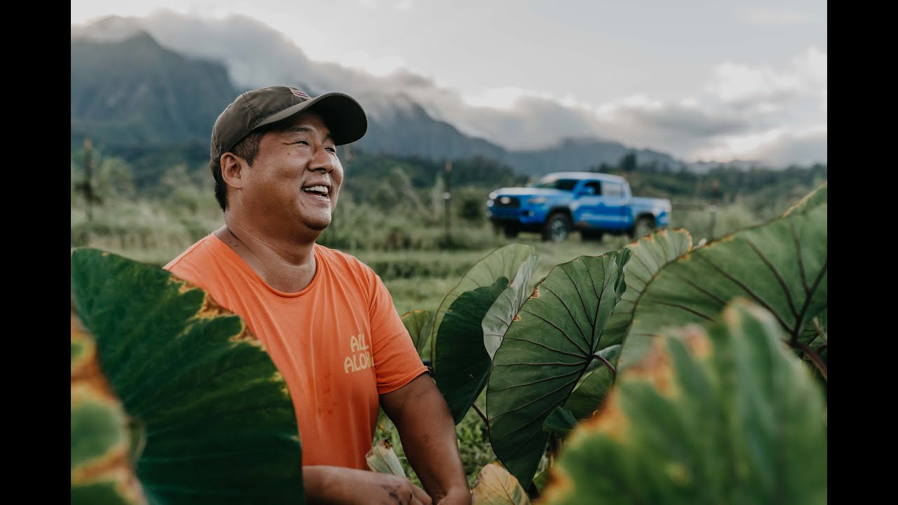 Holoholo with Mark Noguchi - Official Trailer - YouTube