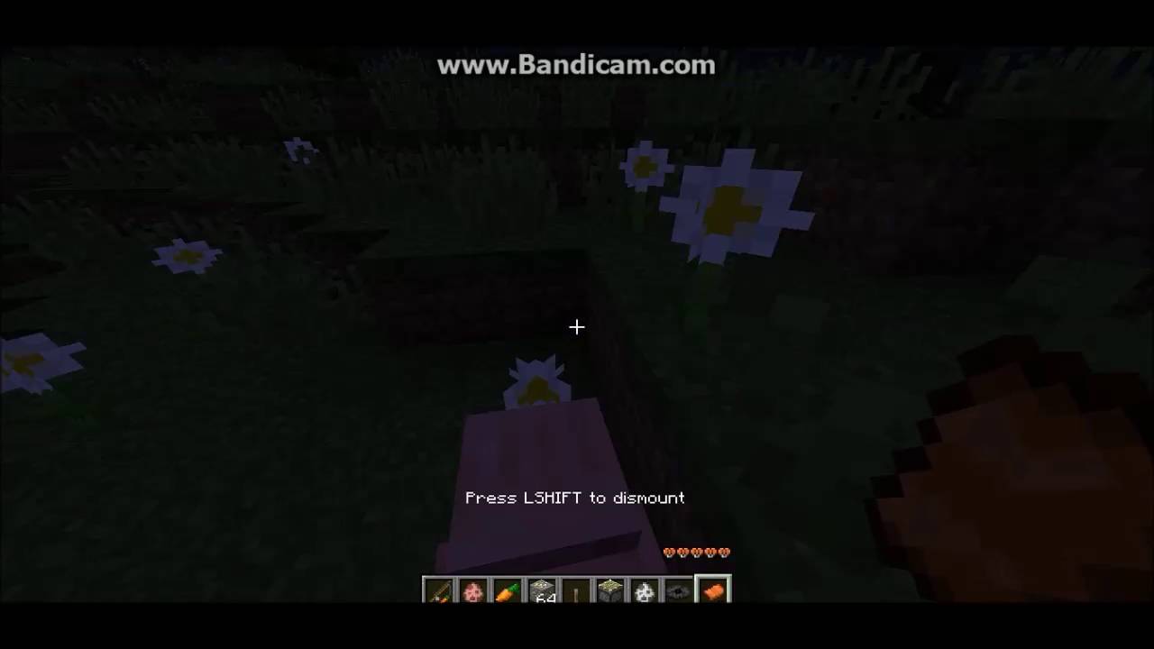 How to ride a pig in Minecraft - YouTube