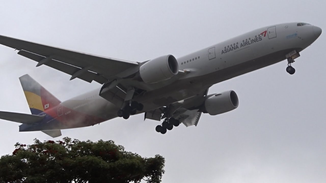(RARE) Asiana Airlines Boeing 777-200ER [HL8284] landing at Los Angeles ...