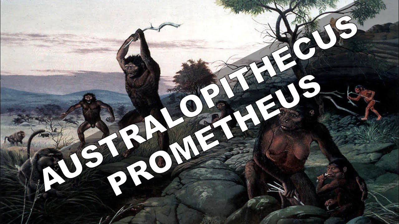 Little Foot: Australopithecus prometheus - YouTube
