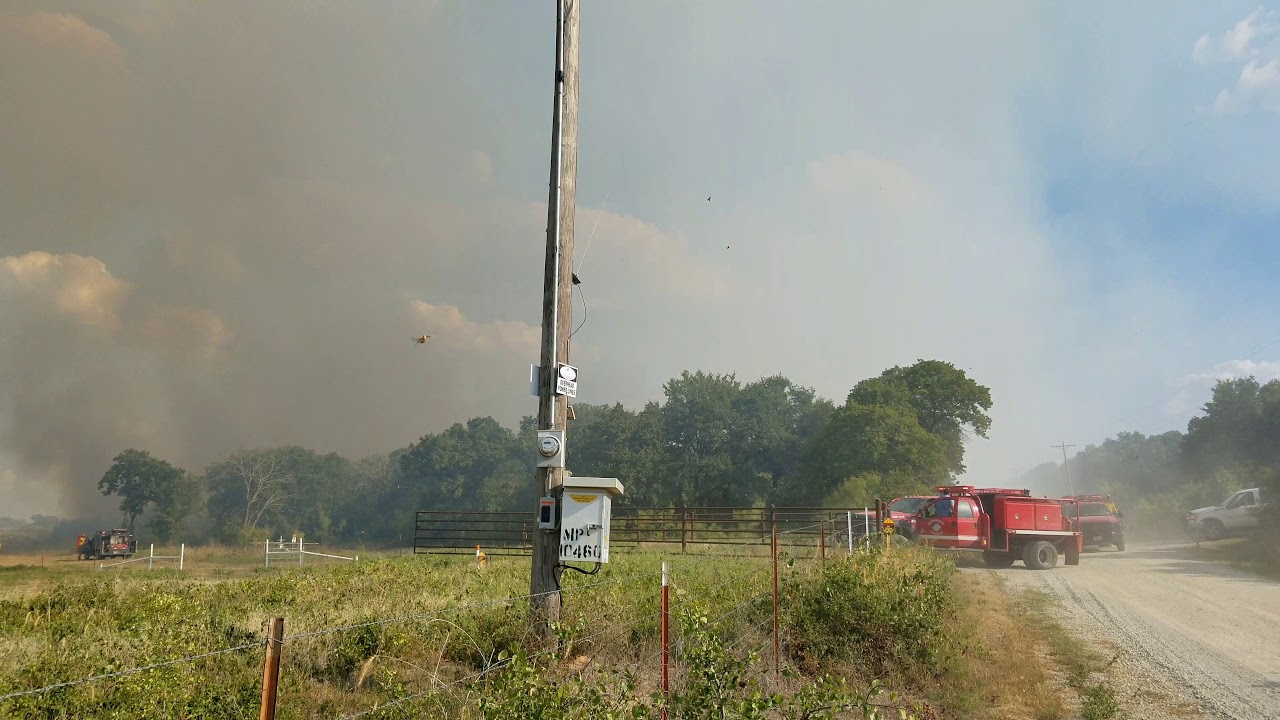 Grasshopper Invasion 4k - Escaping the Fire - YouTube