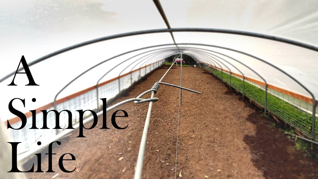 Preparing for Spring: Greenhouse Trellis System Done - YouTube