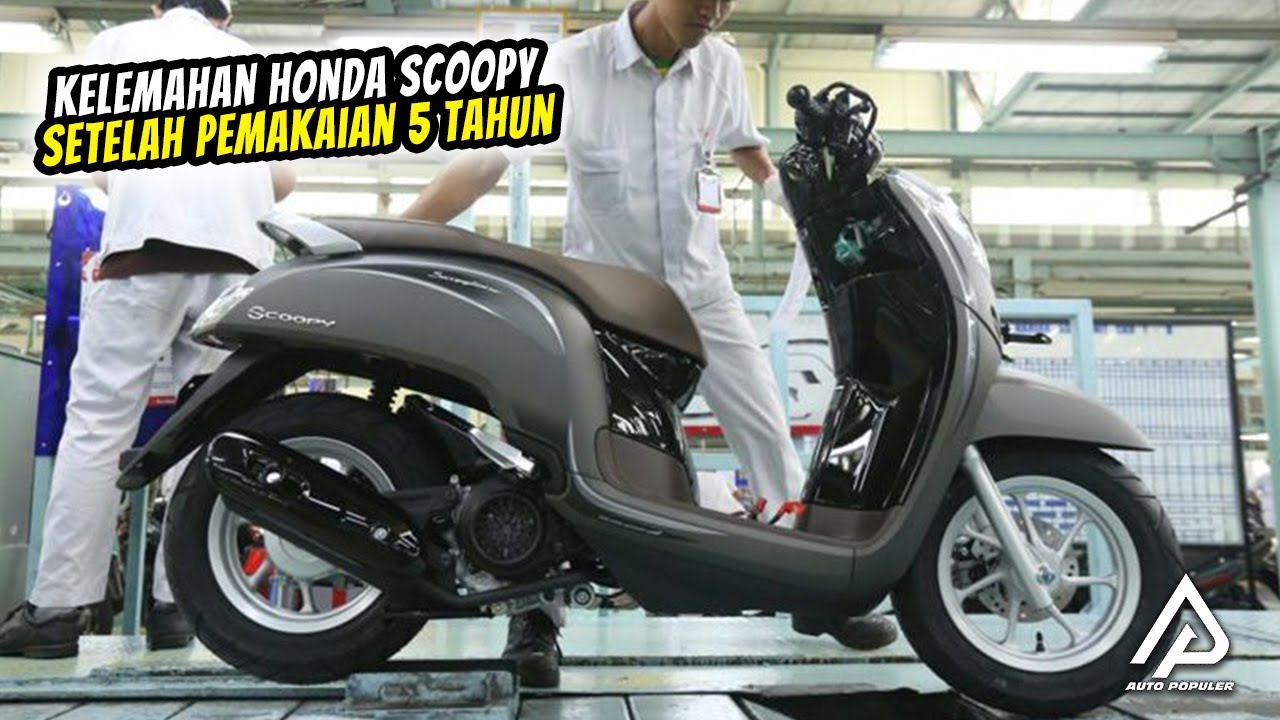 Kekurangan dan Kelebihan Honda Scoopy Setelah 5 Tahun pemakaian - YouTube