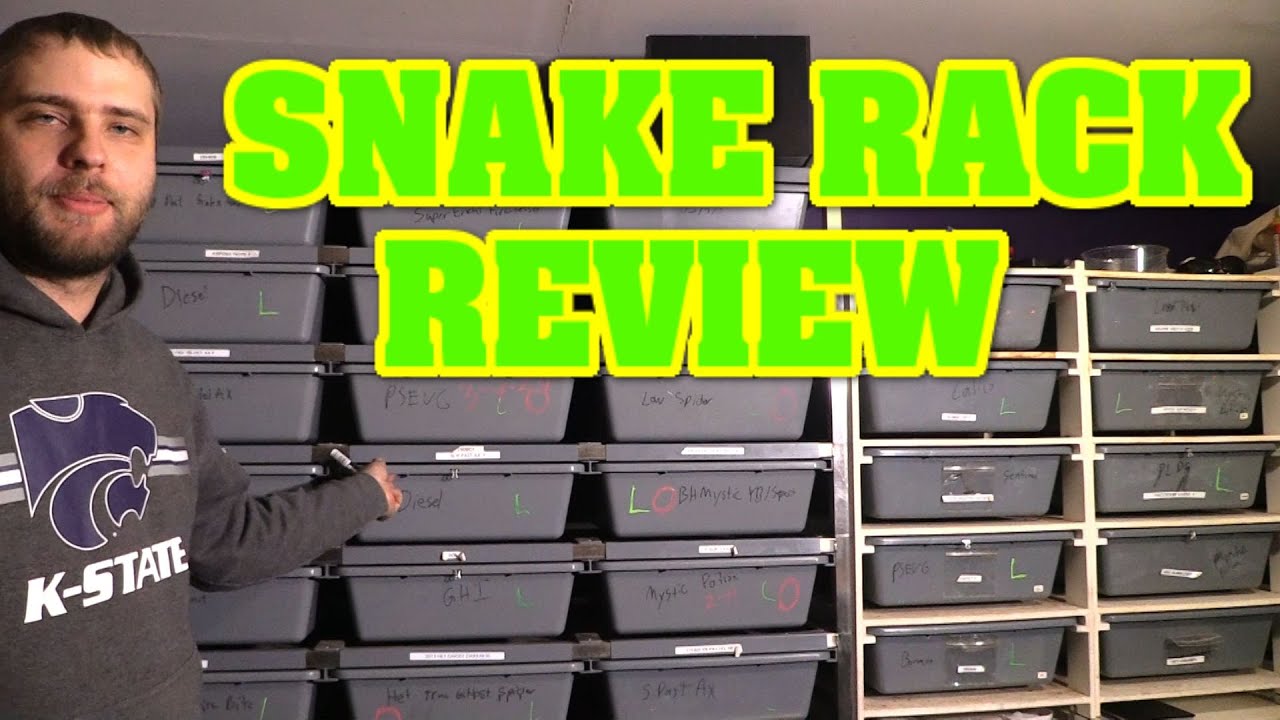Caleb gives a long term review of the FREEDOM BREEDER RACK@ - YouTube