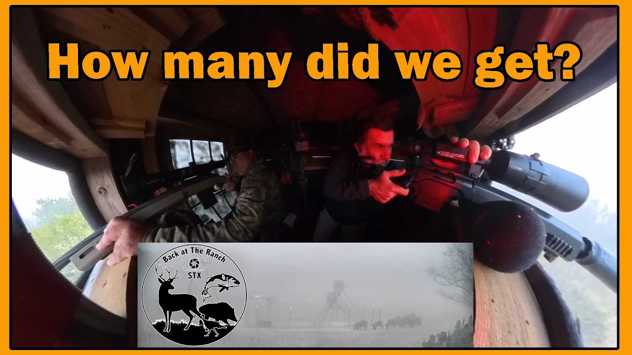 Hunting Camping - Hunting from a blind - Wild Hog and Bobcat Harvest ...