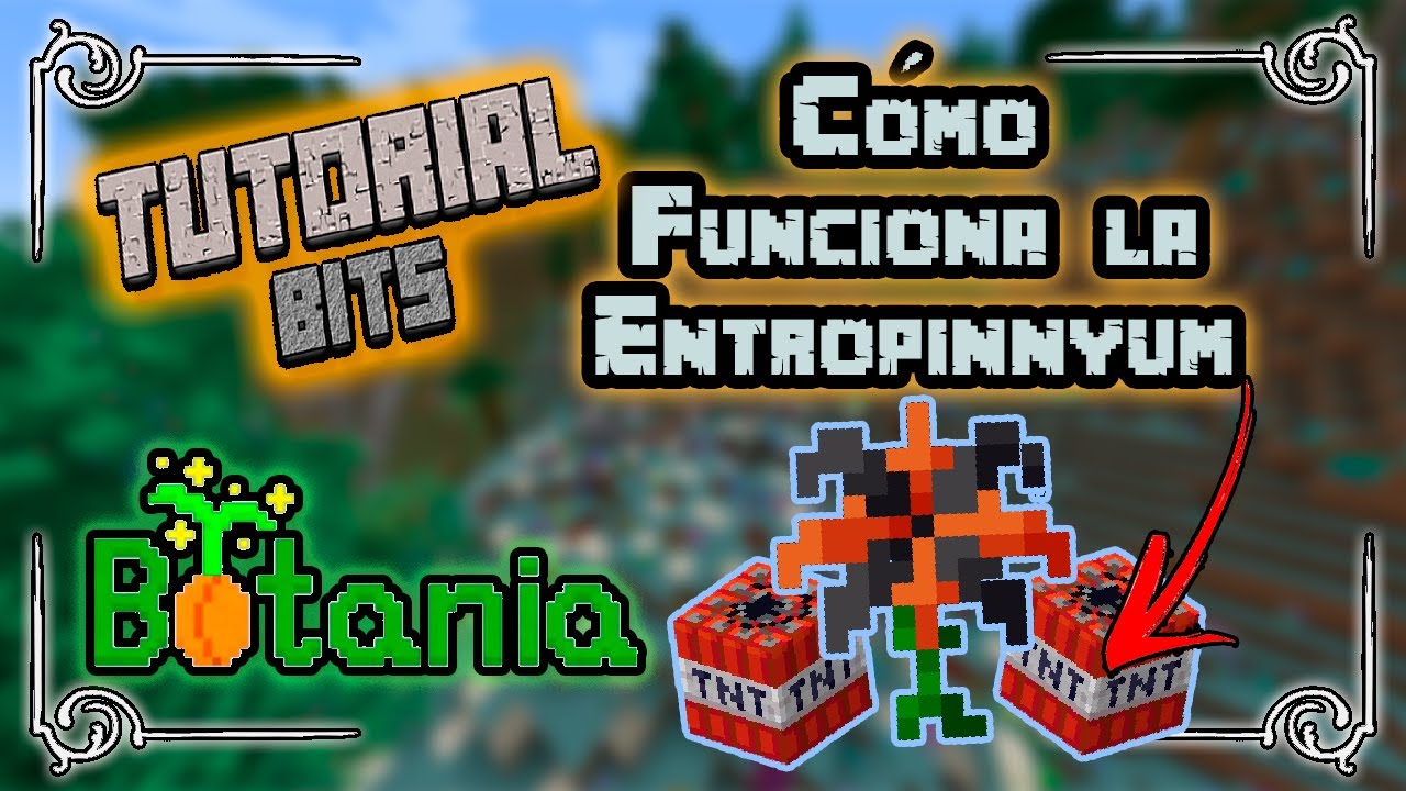 Cómo funciona la Entropinnyum (2024) | #Botania: Tutorial Bits Español ...