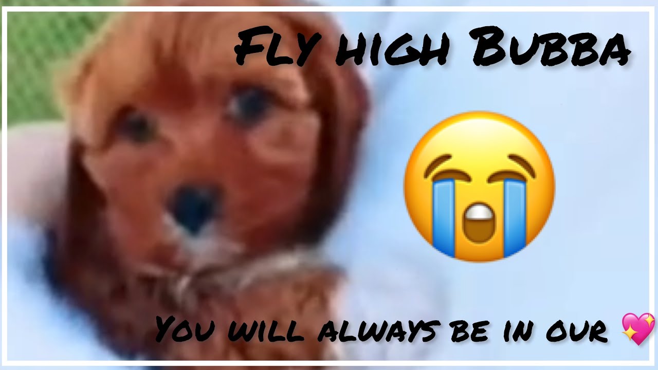 Rest in Peace Bubba Norris 😭 - YouTube