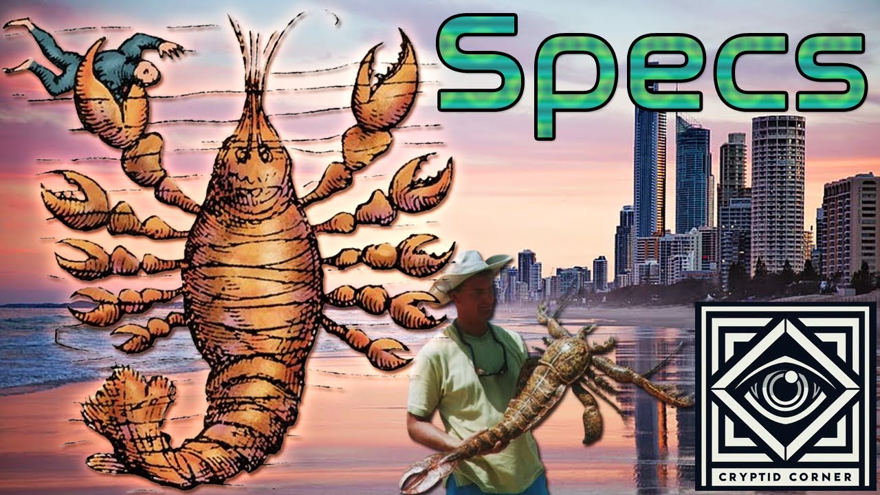 Specs | The Monster Lobster of Miami Beach - YouTube
